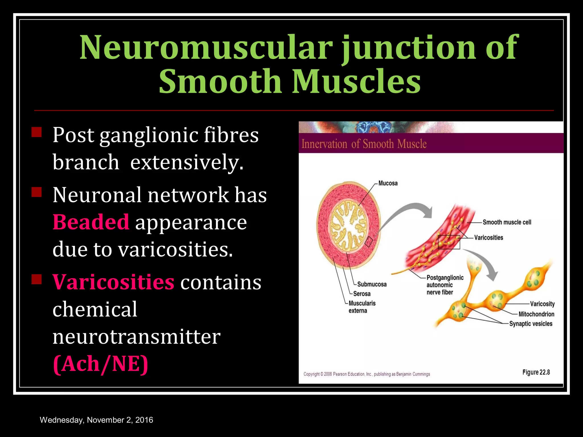 3.9 SMOOTH MUSCLE PHYSIOLOGY | PPT