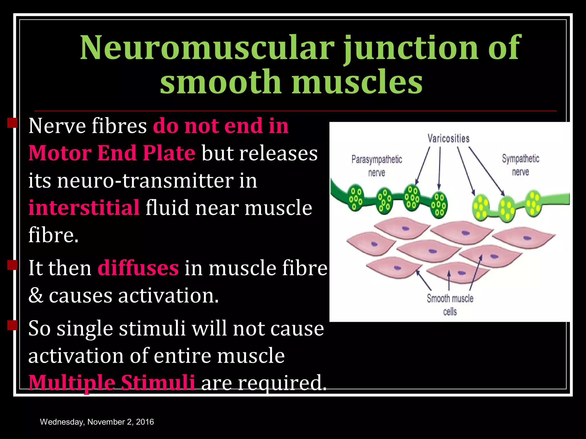 3.9 SMOOTH MUSCLE PHYSIOLOGY | PPT