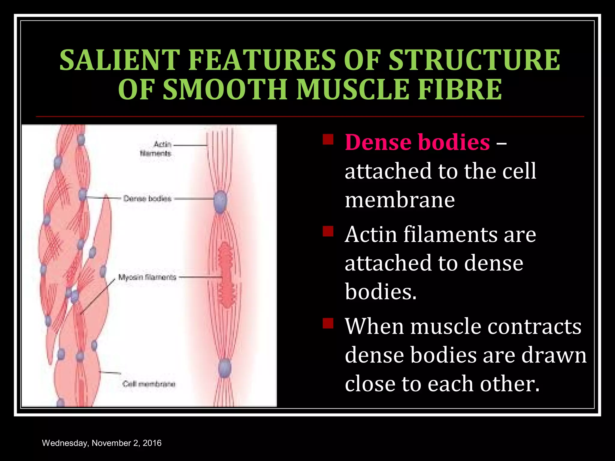 3.9 SMOOTH MUSCLE PHYSIOLOGY | PPT