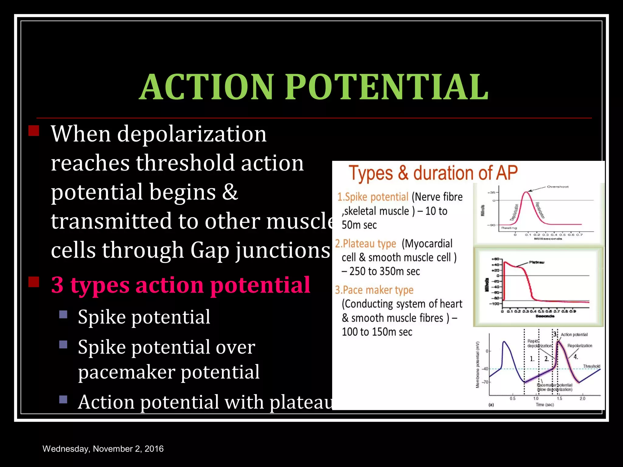 3.9 SMOOTH MUSCLE PHYSIOLOGY | PPT