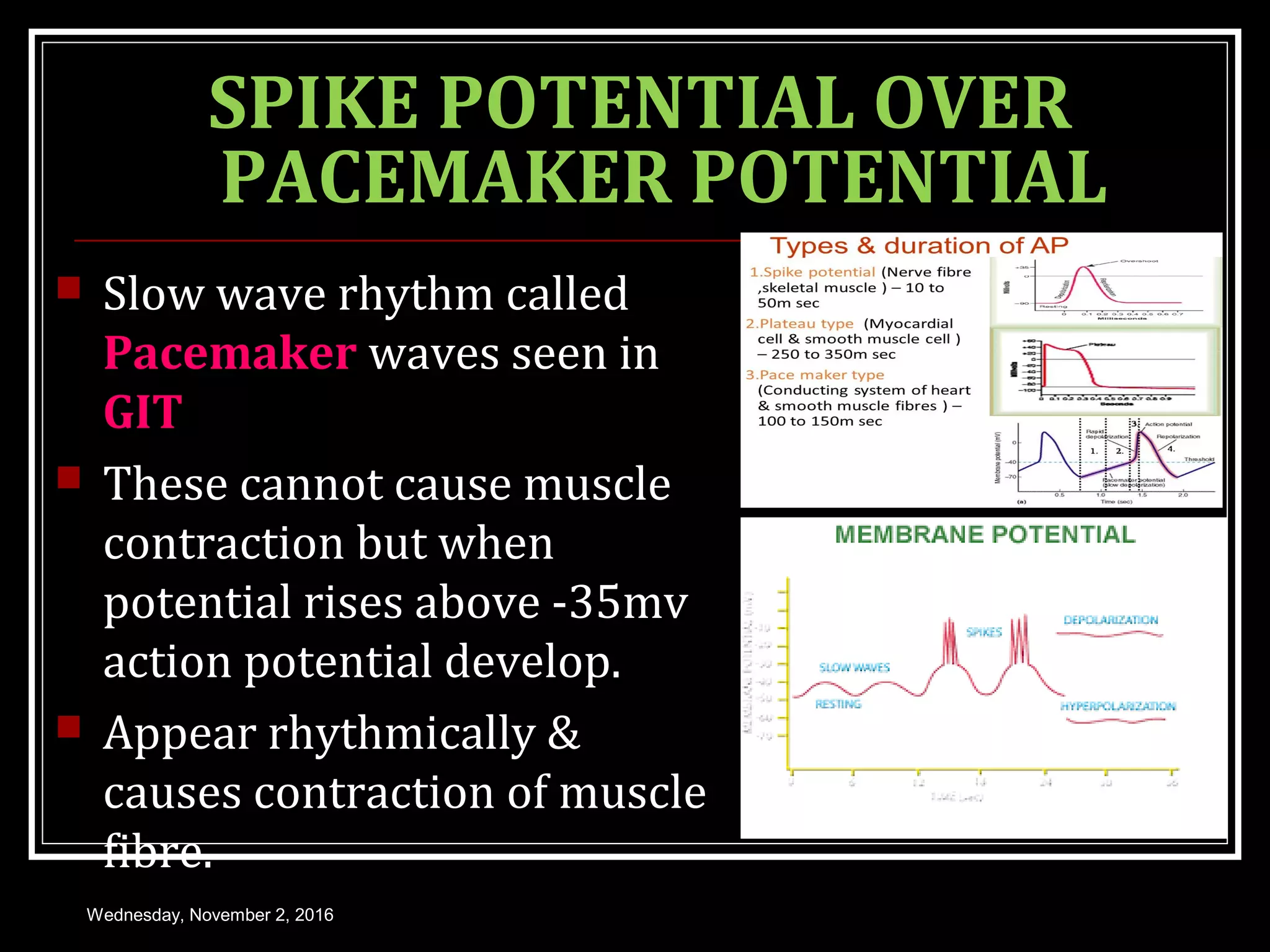 3.9 SMOOTH MUSCLE PHYSIOLOGY | PPT