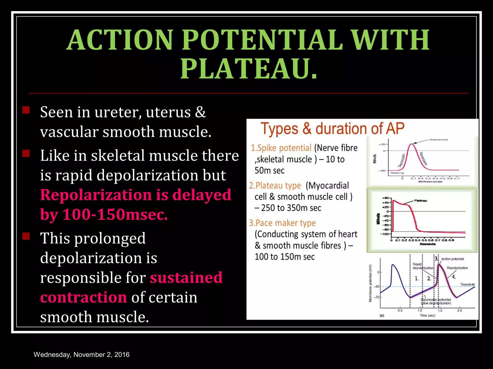 3.9 SMOOTH MUSCLE PHYSIOLOGY | PPT