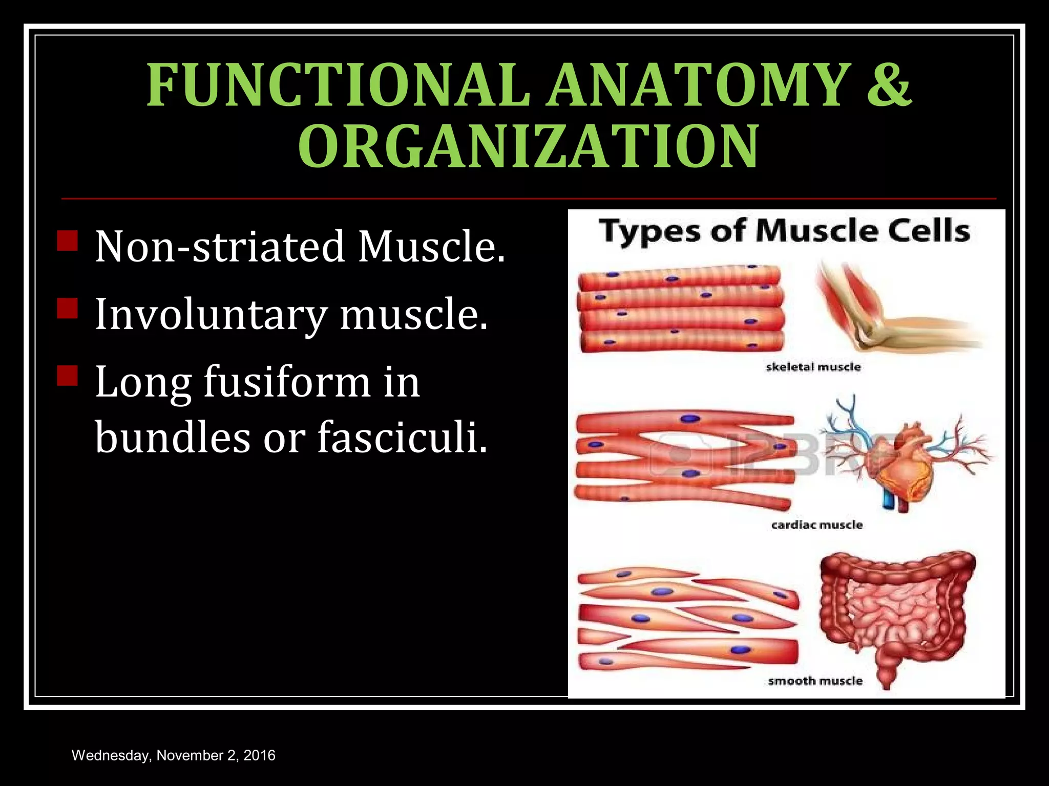 3.9 SMOOTH MUSCLE PHYSIOLOGY | PPT