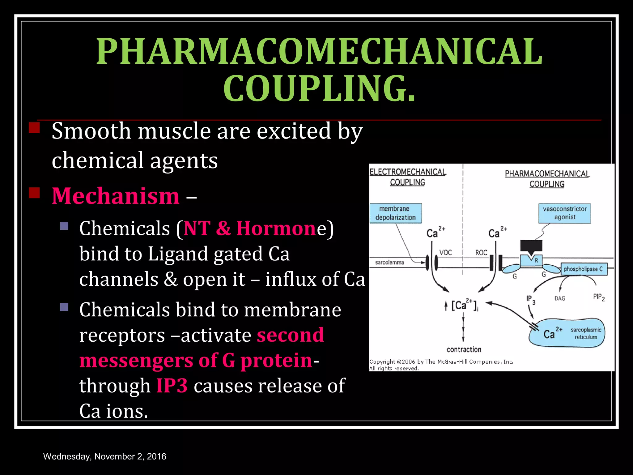 3.9 SMOOTH MUSCLE PHYSIOLOGY | PPT