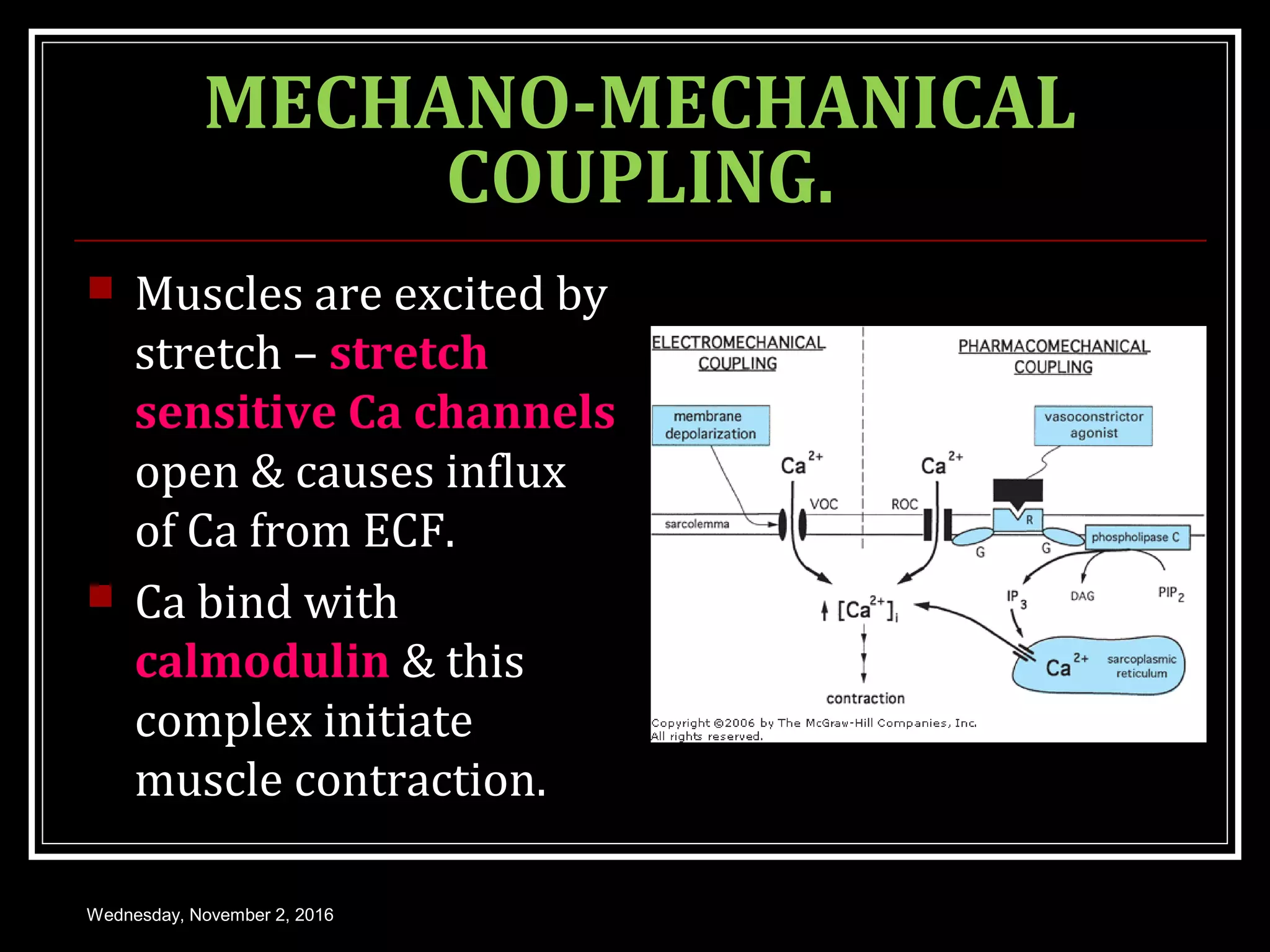 3.9 SMOOTH MUSCLE PHYSIOLOGY | PPT