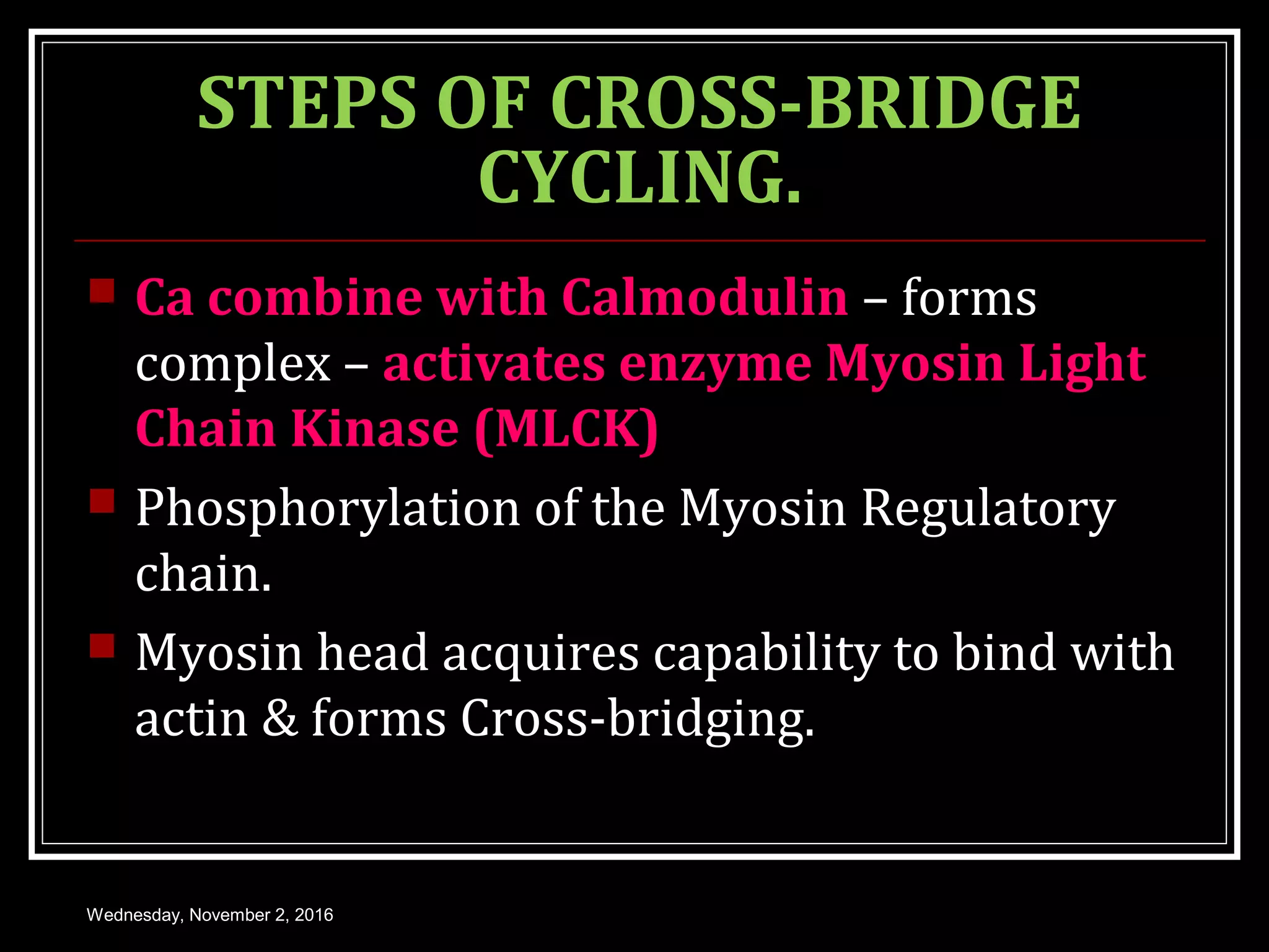 3.9 SMOOTH MUSCLE PHYSIOLOGY | PPT