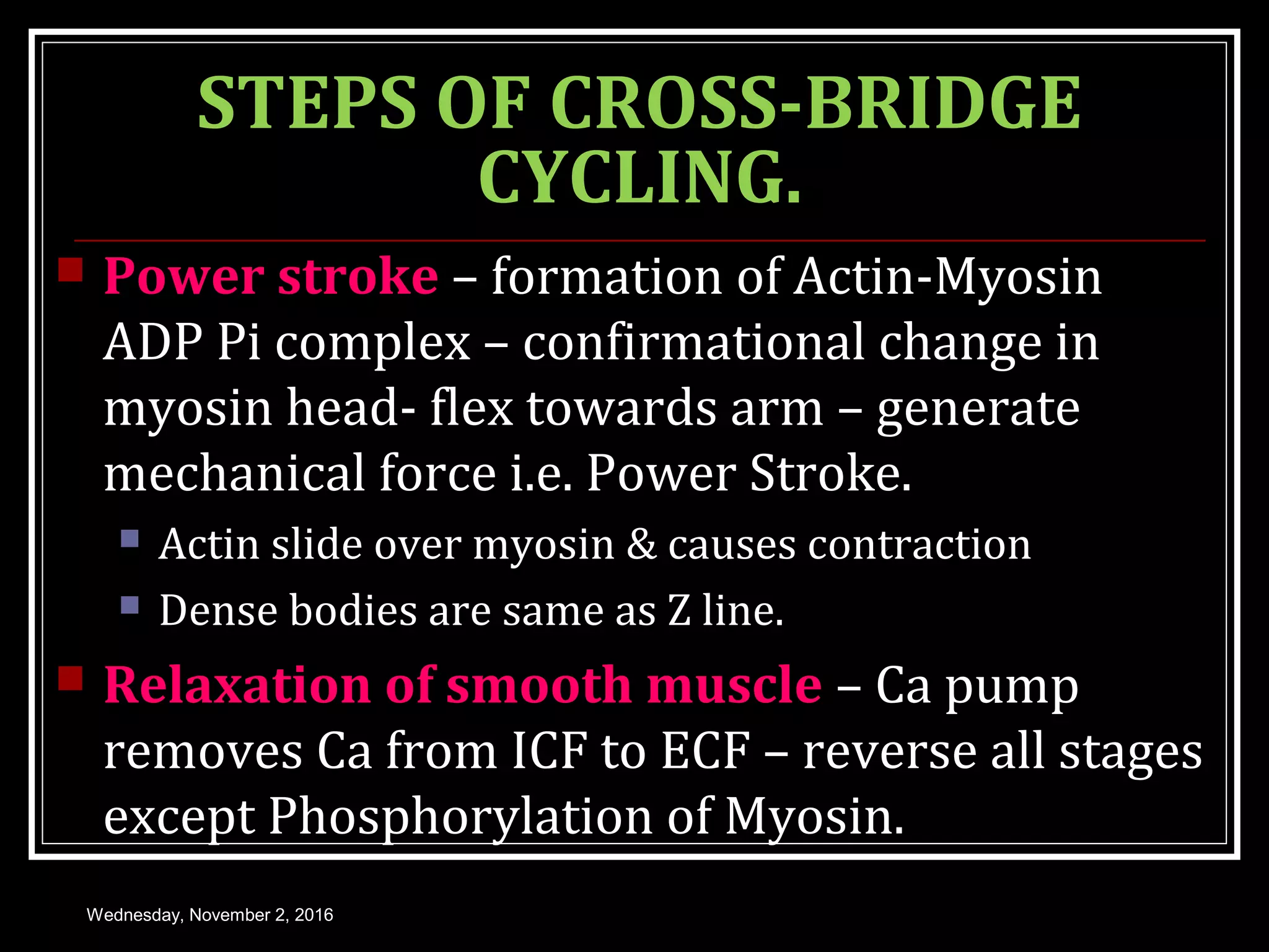 3.9 SMOOTH MUSCLE PHYSIOLOGY | PPT