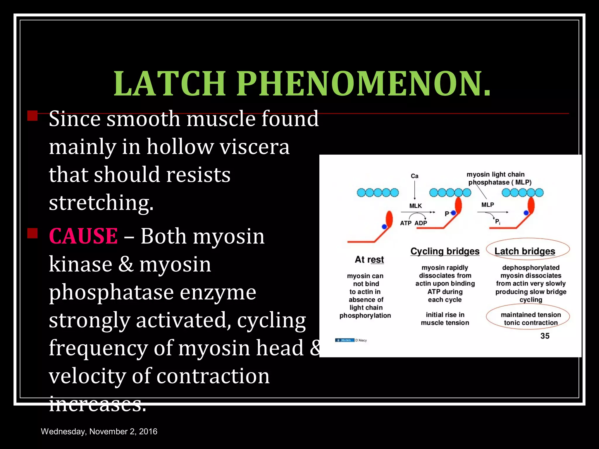 3.9 SMOOTH MUSCLE PHYSIOLOGY | PPT
