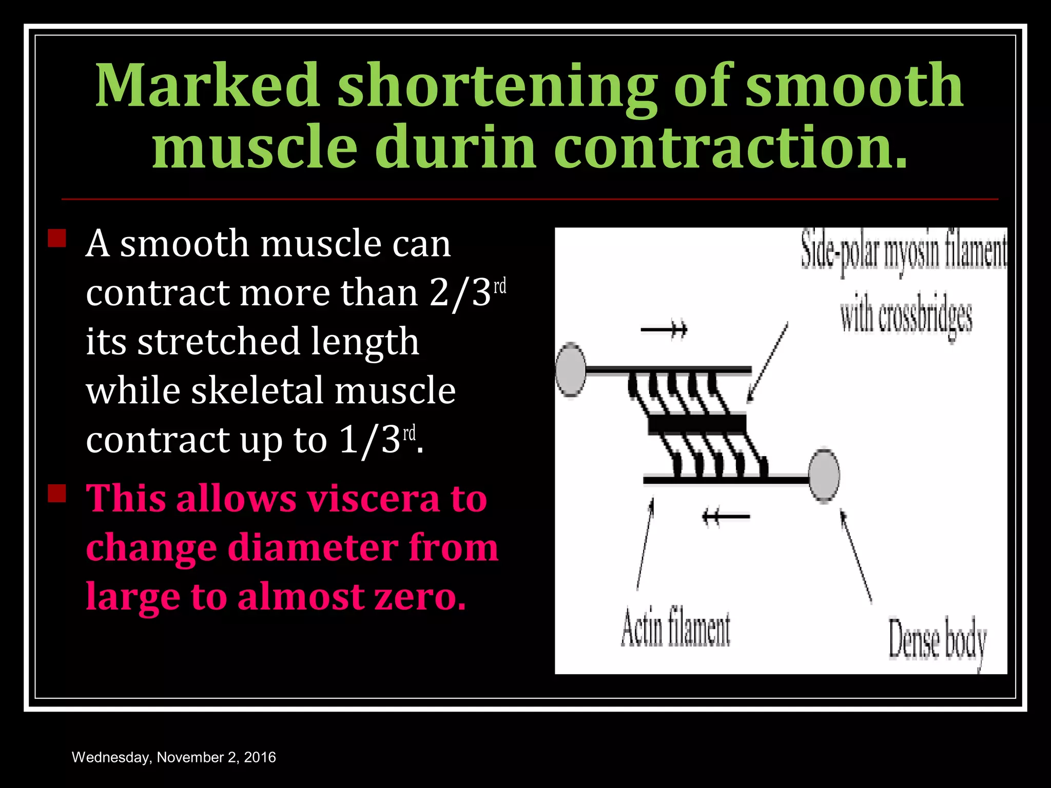 3.9 SMOOTH MUSCLE PHYSIOLOGY | PPT