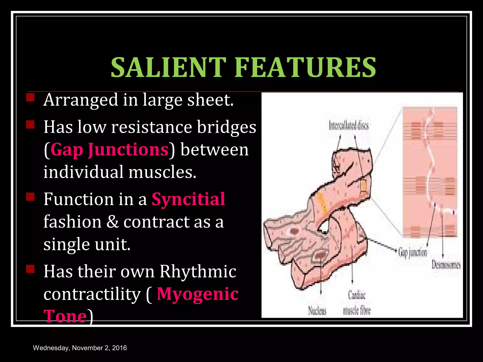 3.9 SMOOTH MUSCLE PHYSIOLOGY | PPT