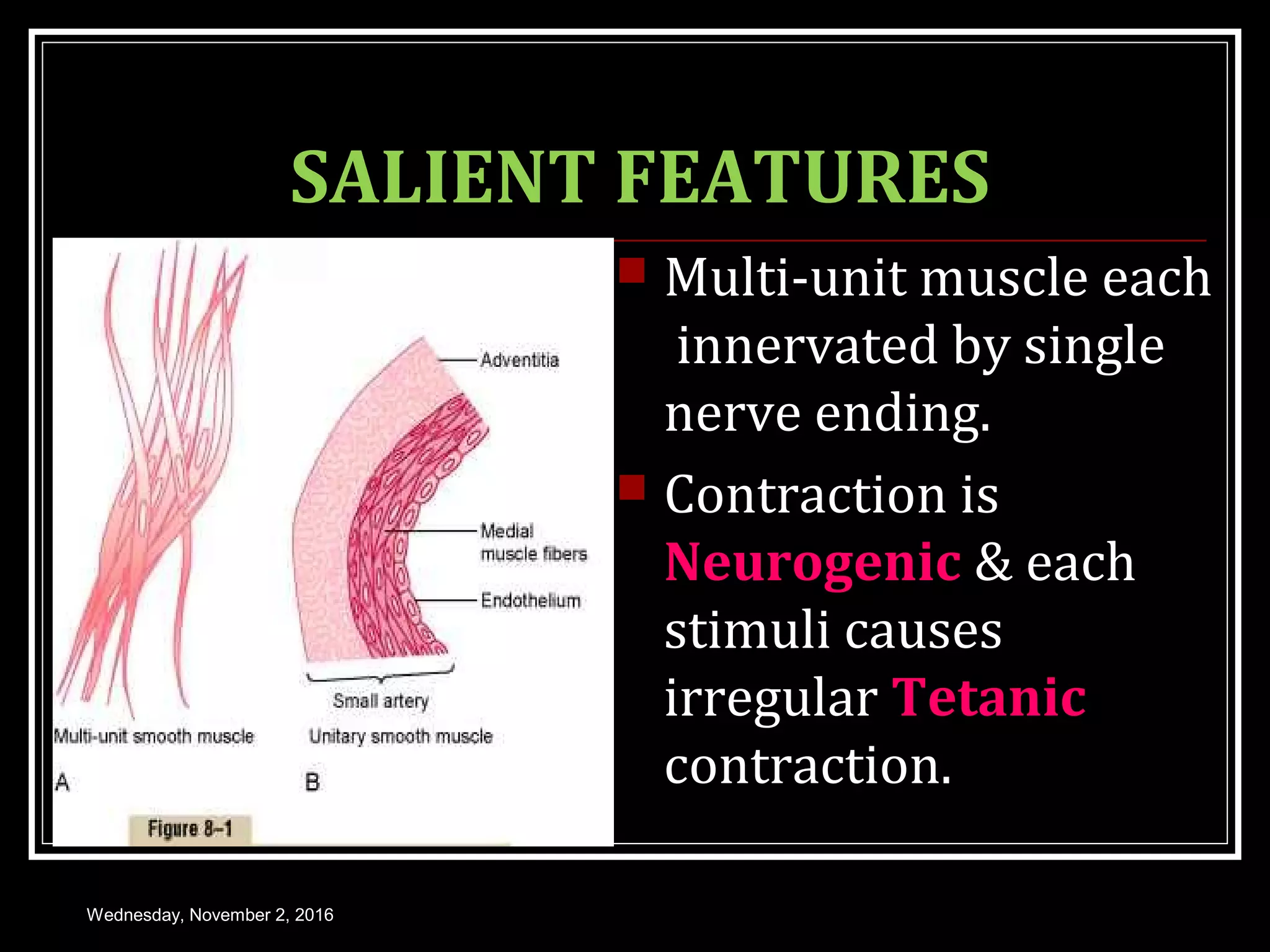 3.9 SMOOTH MUSCLE PHYSIOLOGY | PPT