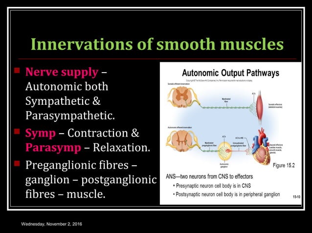 3.9 SMOOTH MUSCLE PHYSIOLOGY | PPT | Brain and Nervous System Disorders ...