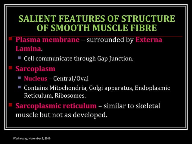 3.9 SMOOTH MUSCLE PHYSIOLOGY | PPT | Brain and Nervous System Disorders ...