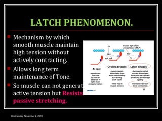 3.9 SMOOTH MUSCLE PHYSIOLOGY | PPT