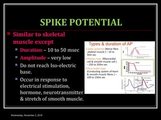 Smooth Muscle Contraction Action Potential