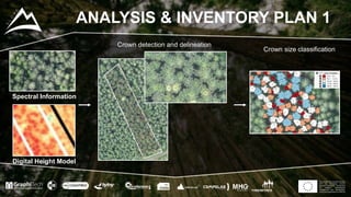 SLOPE Final Conference - tls tools for forest survey and forest | PPTX ...