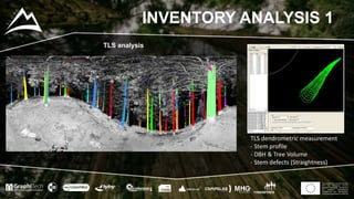 SLOPE Final Conference - tls tools for forest survey and forest | PPTX ...