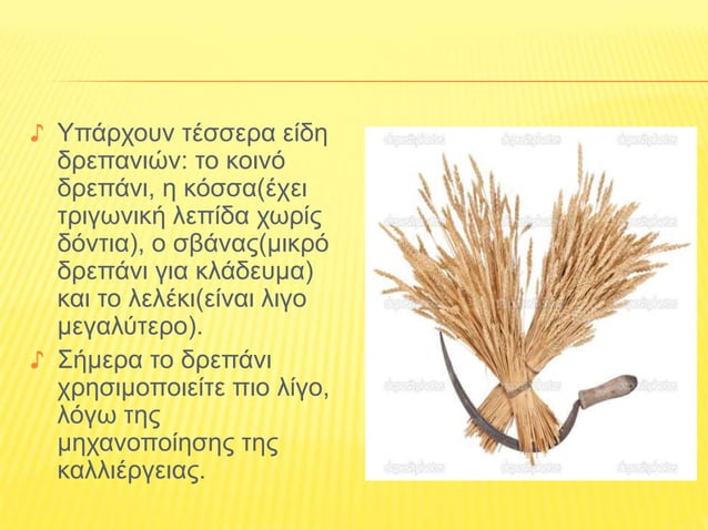 το δρεπανι | PPTX