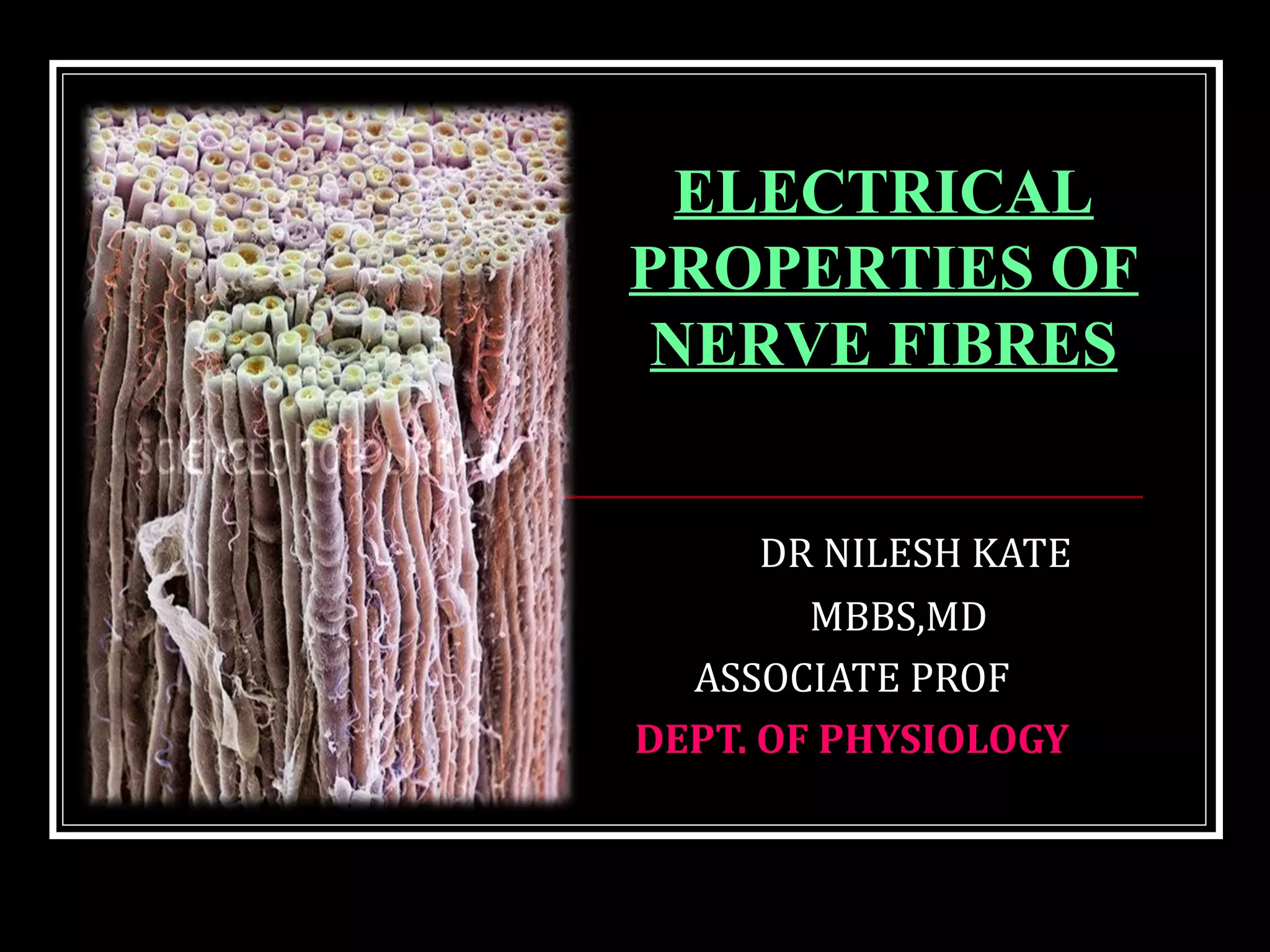 PROPERTIES OF NERVE FIBRES | PPT