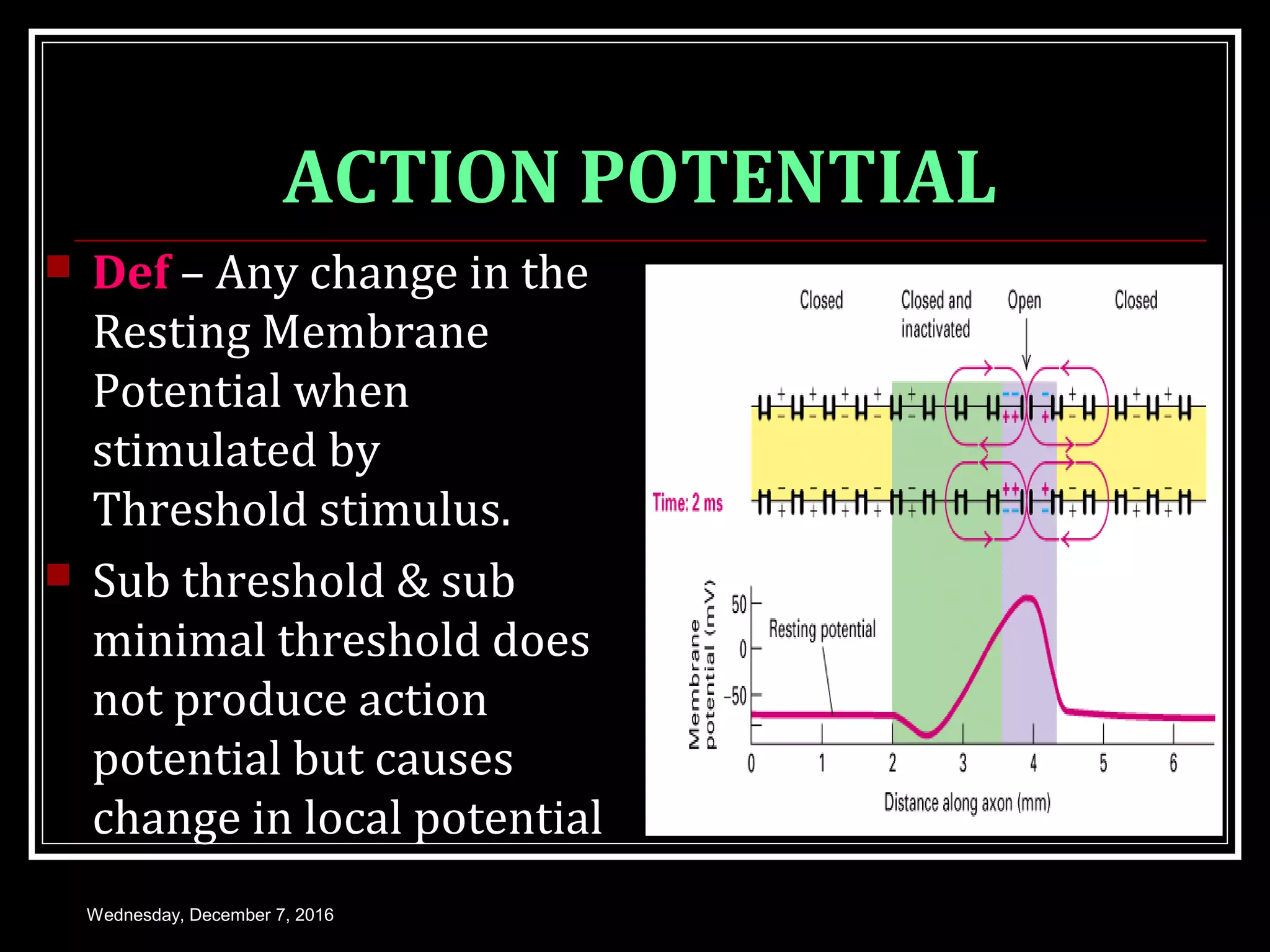 PROPERTIES OF NERVE FIBRES | PPT
