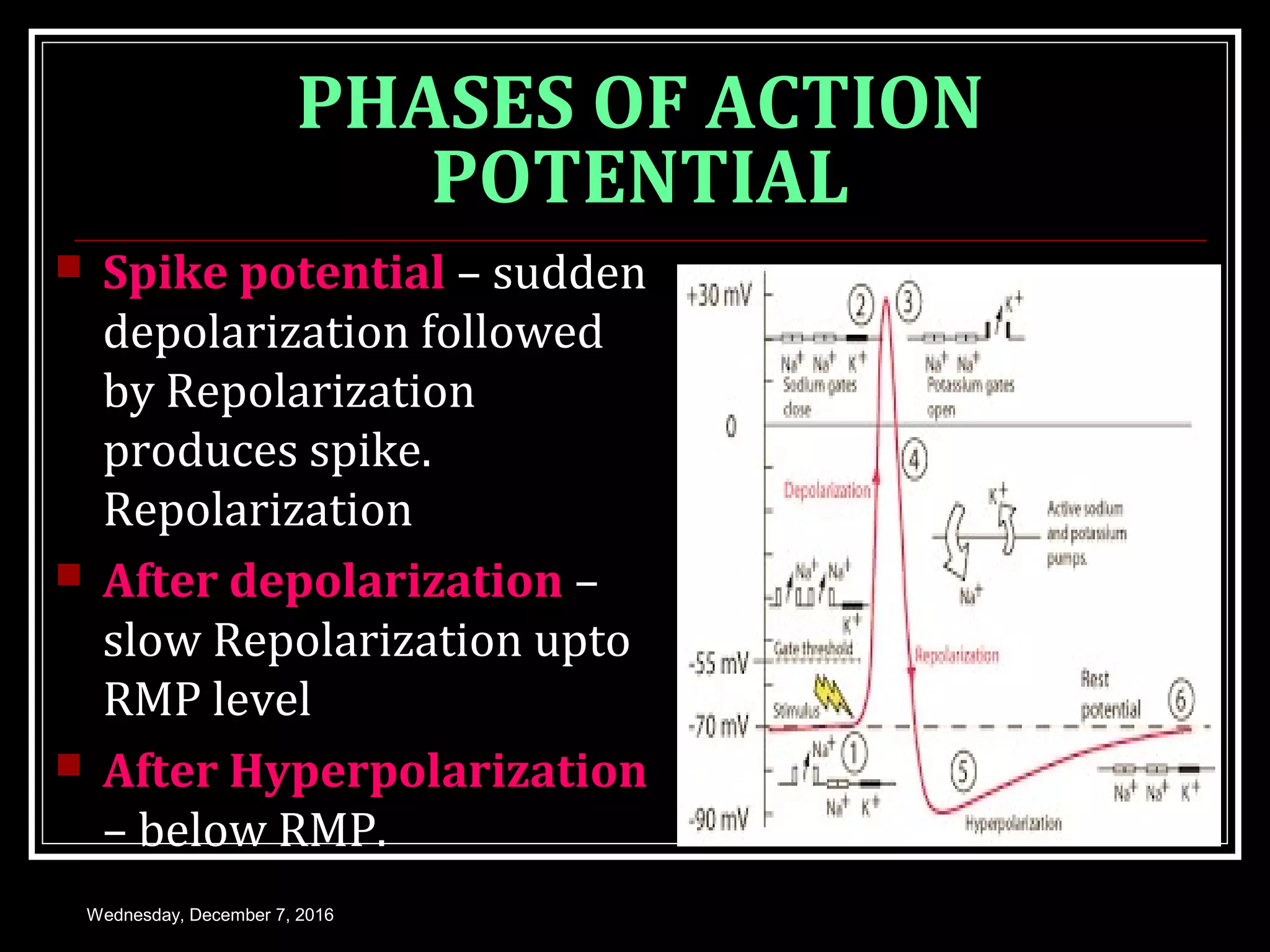 PROPERTIES OF NERVE FIBRES | PPT