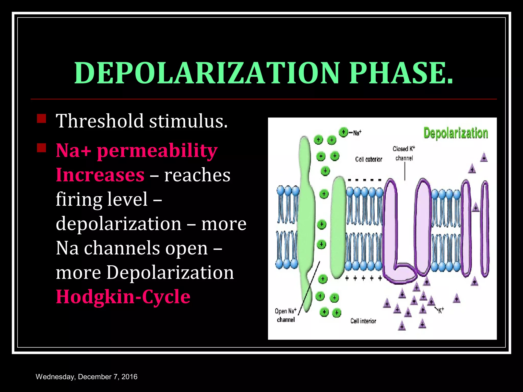 PROPERTIES OF NERVE FIBRES | PPT