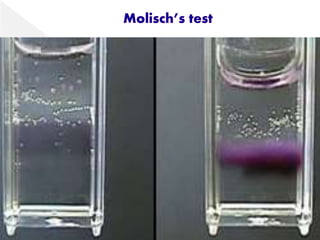 Reactions of fructose | PPTX