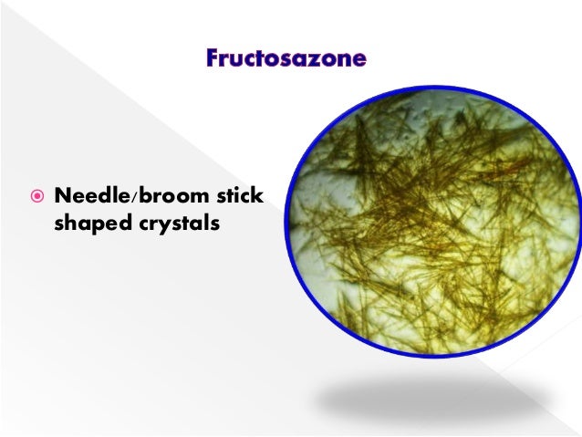 Reactions of fructose