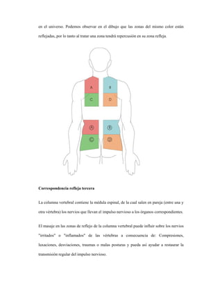 3. anatomía y zonas del pie | PDF