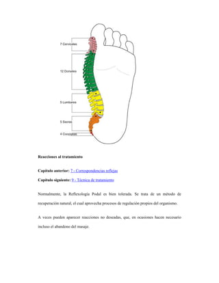 3. anatomía y zonas del pie | PDF
