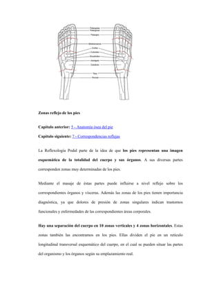3. anatomía y zonas del pie | PDF