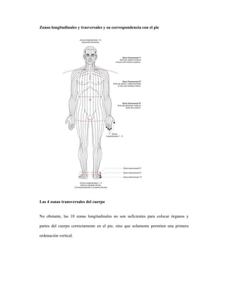 3. anatomía y zonas del pie | PDF