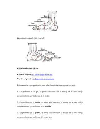 3. anatomía y zonas del pie | PDF