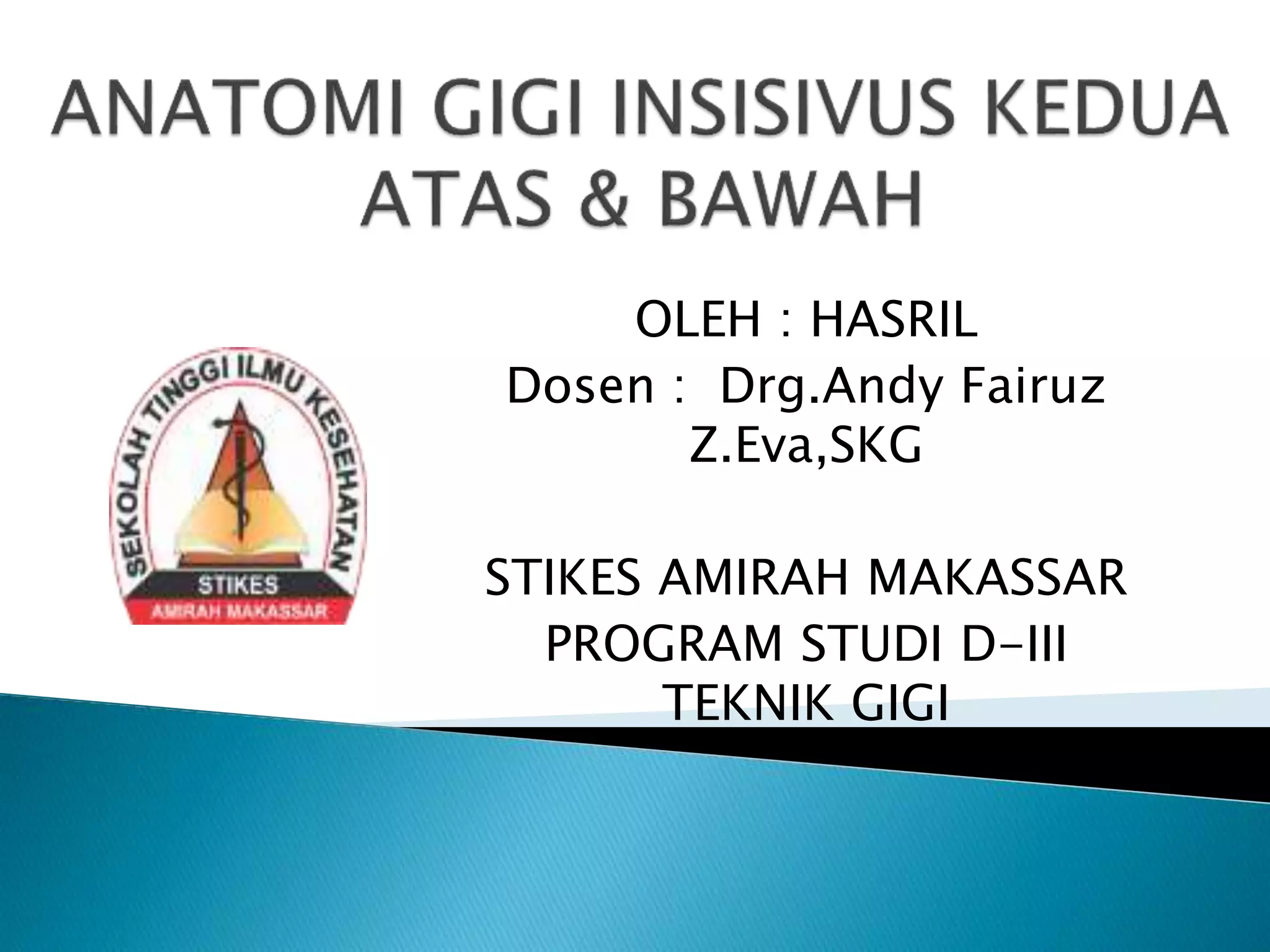 3. anatomi gigi insisivus kedua atas & bawah | PPTX