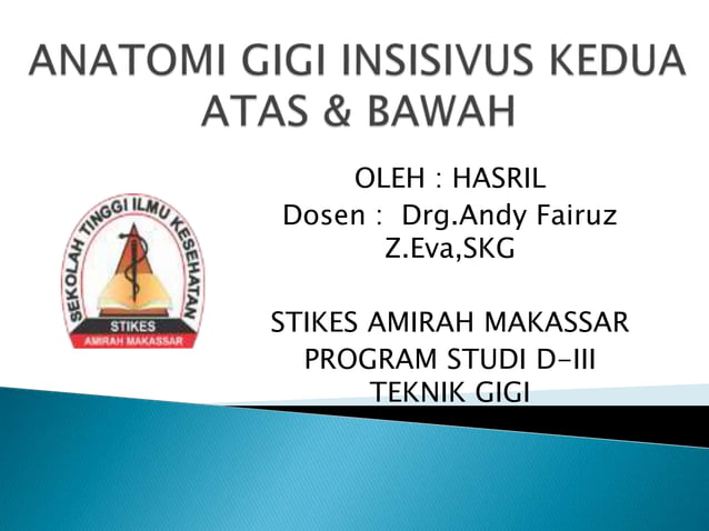 3. anatomi gigi insisivus kedua atas & bawah | PPTX