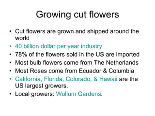 3 16 Floriculture | PPT