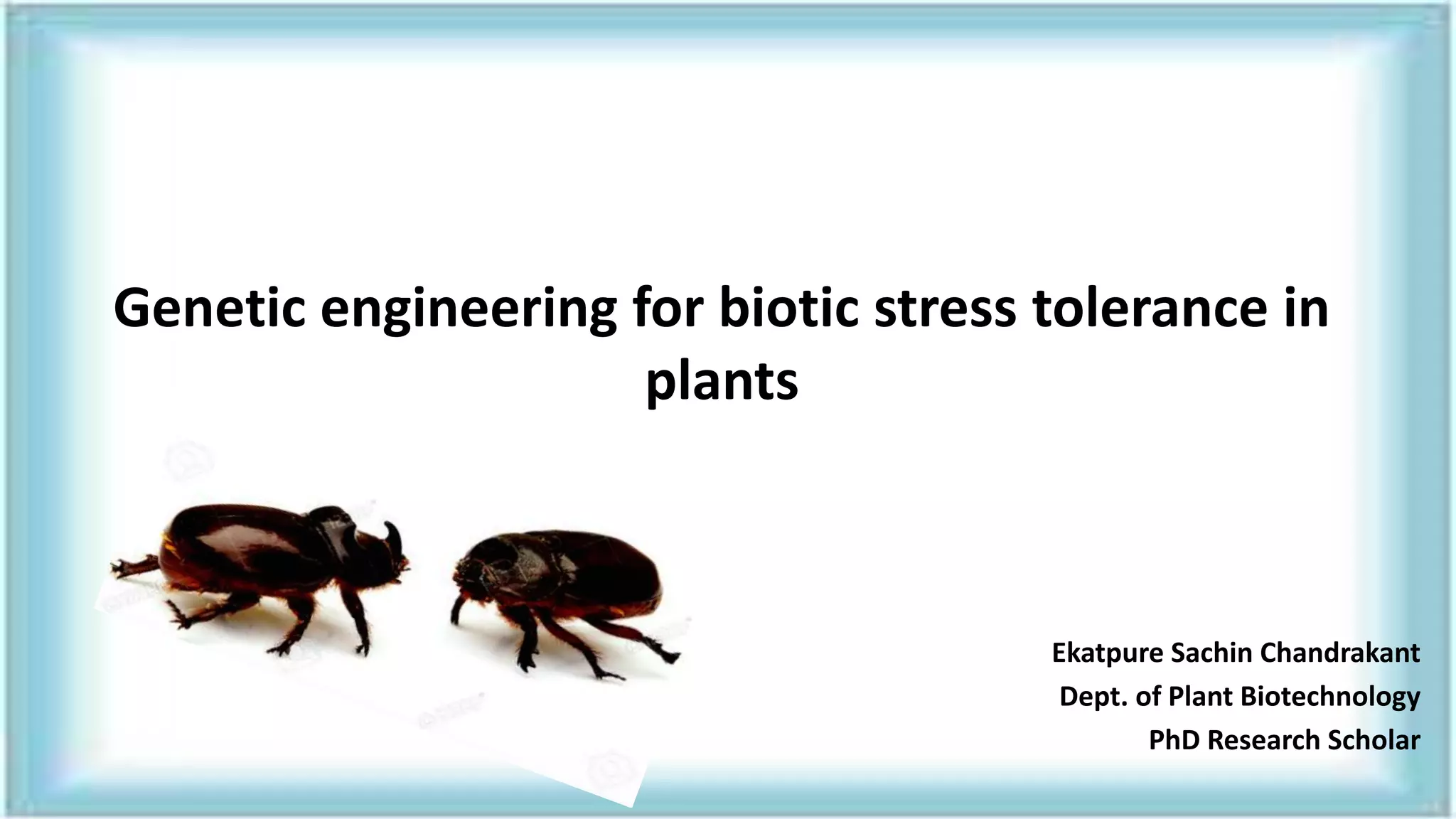 Genetic engineering for biotic stress tolerance | PPTX