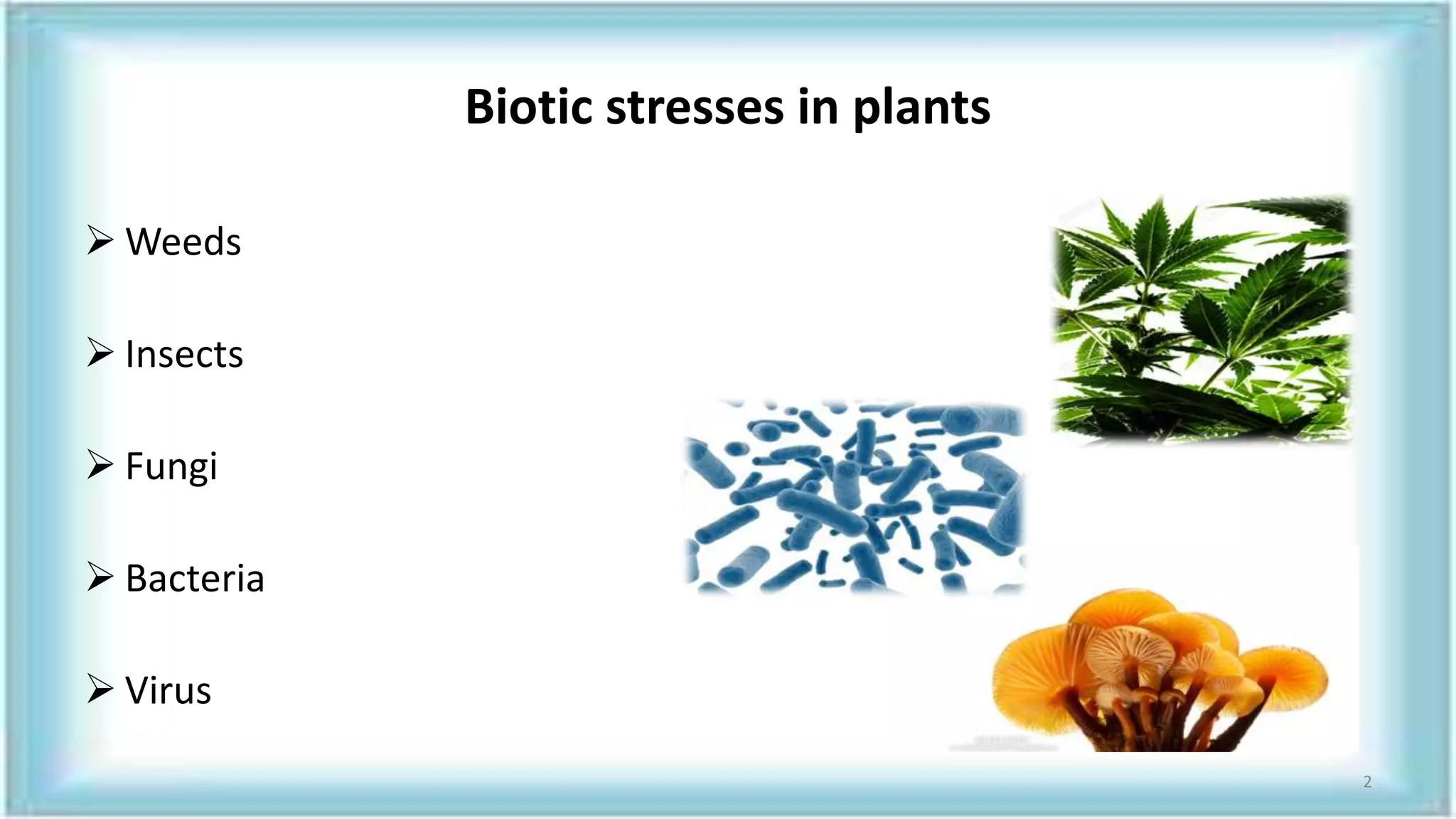 Genetic engineering for biotic stress tolerance | PPTX