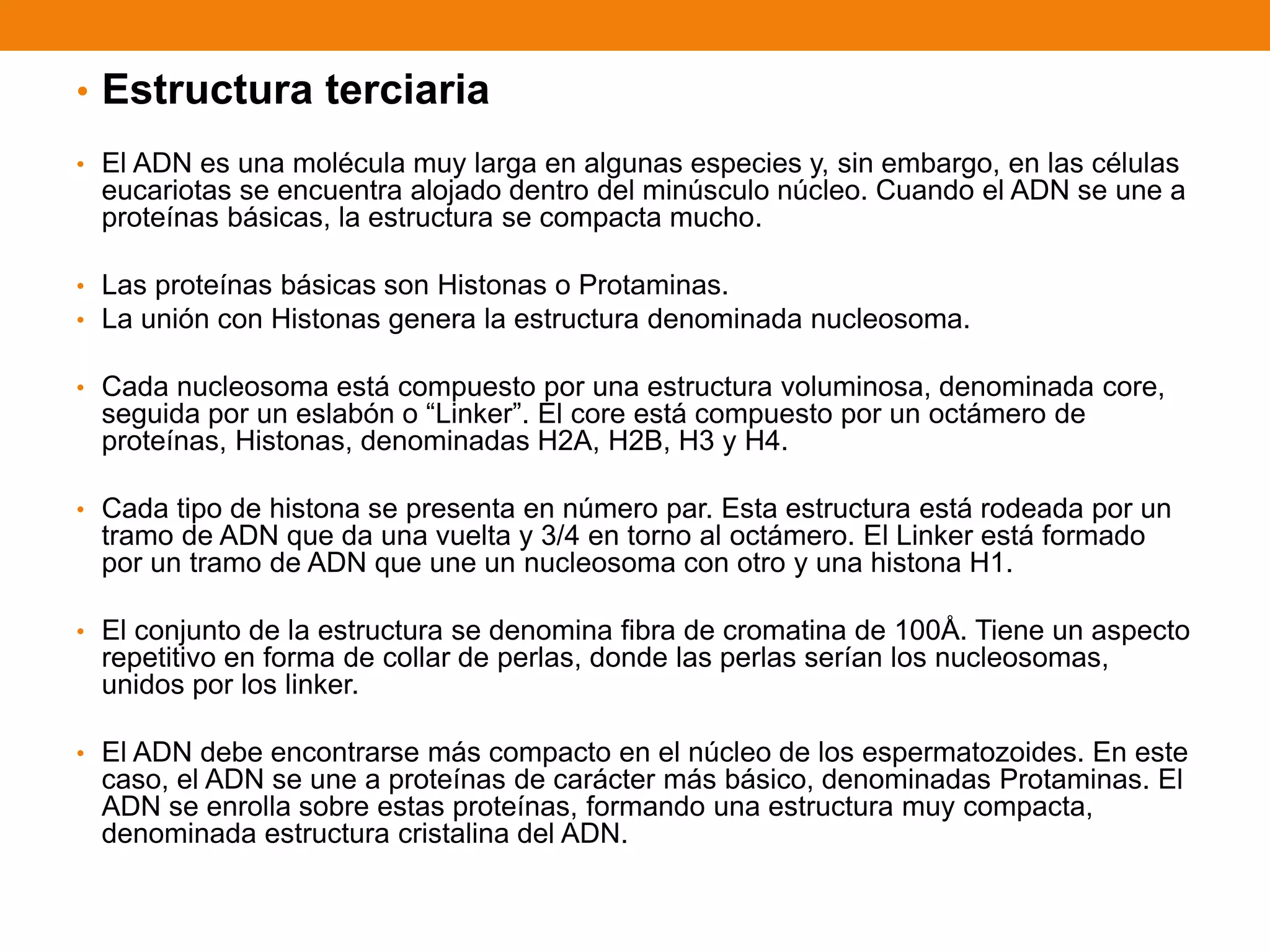Biomoleculas: adn arn_atp | PPT