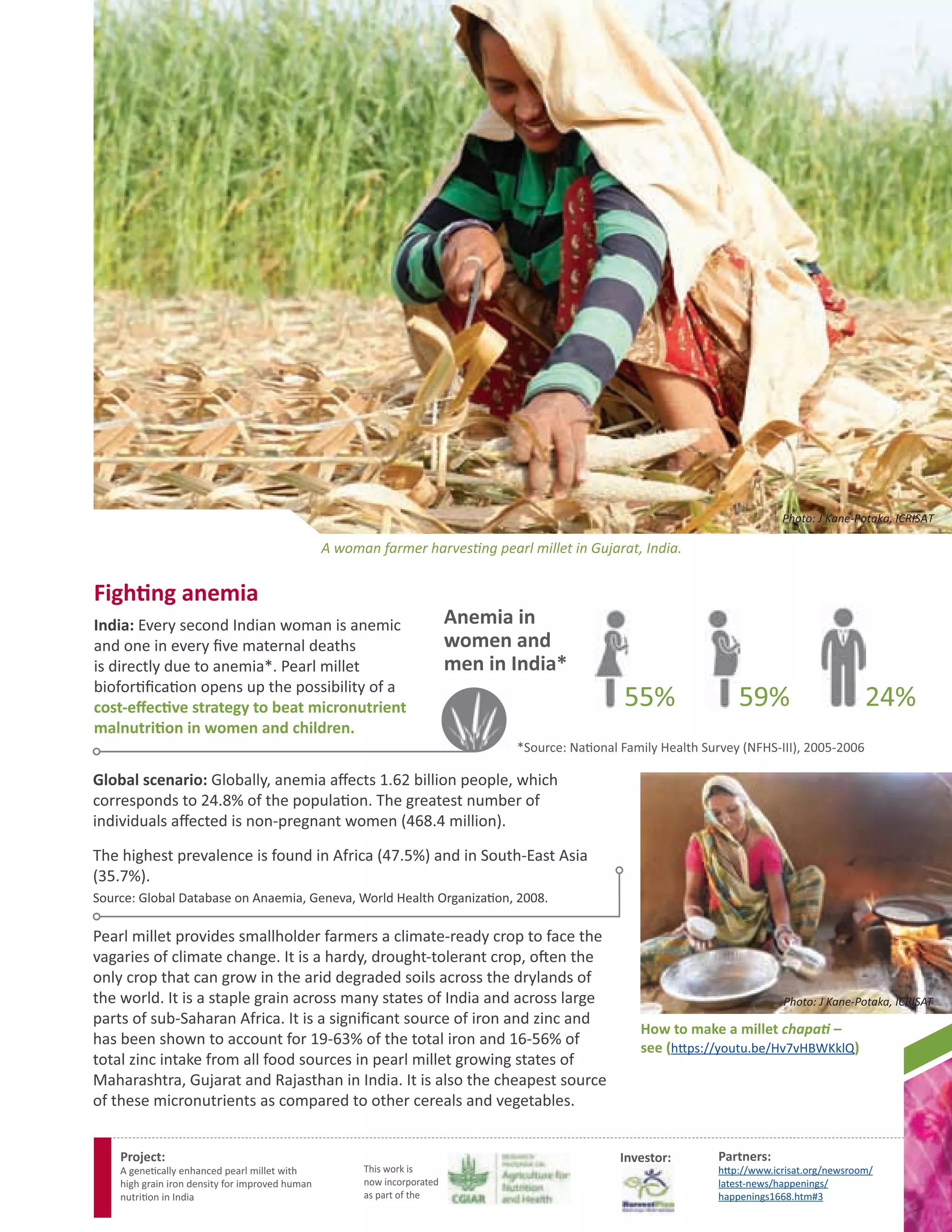 Smart Foods: Nutri-cereals for her - The creation of biofortified pearl ...
