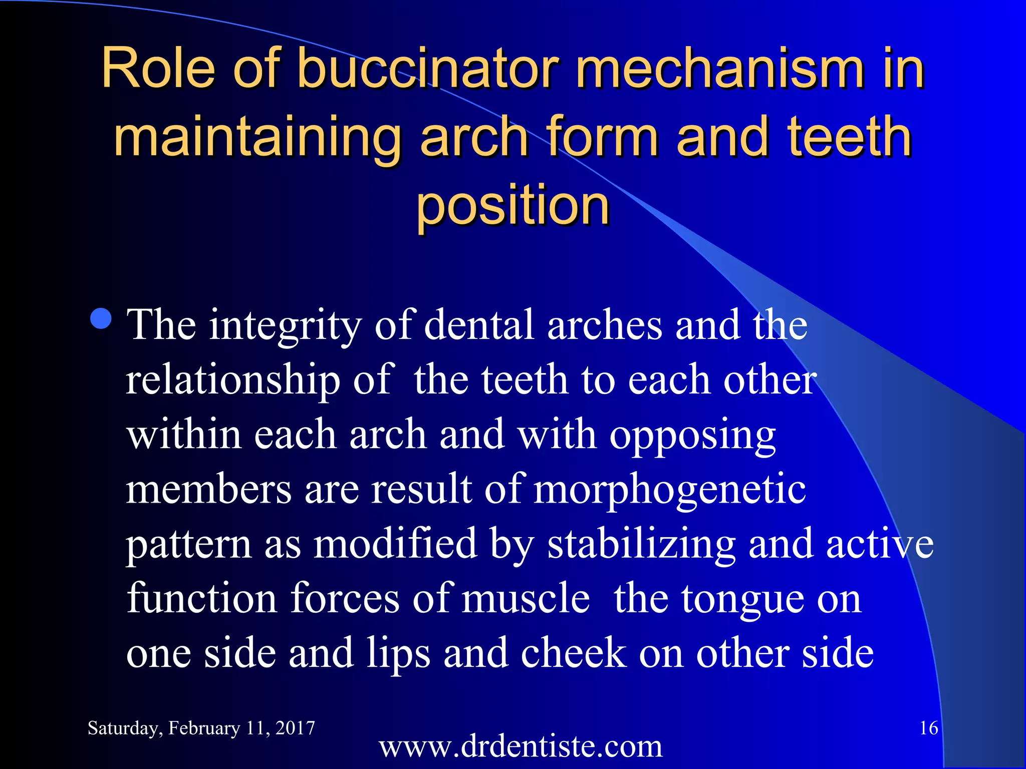 buccinator mechanism | PPT