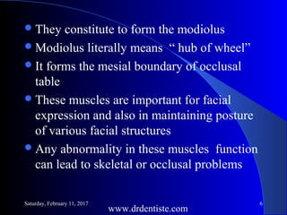 buccinator mechanism | PPT