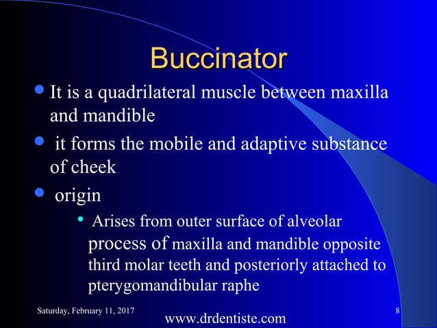buccinator mechanism | PPT | Dental Health | Diseases and Conditions