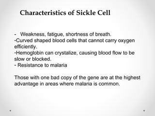 3.1 genes (2) | PPT | Blood Disorders | Diseases and Conditions
