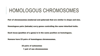3.3 meiosis | PPTX