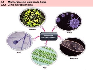3.1 mikroorganisma benda hidup | PPT