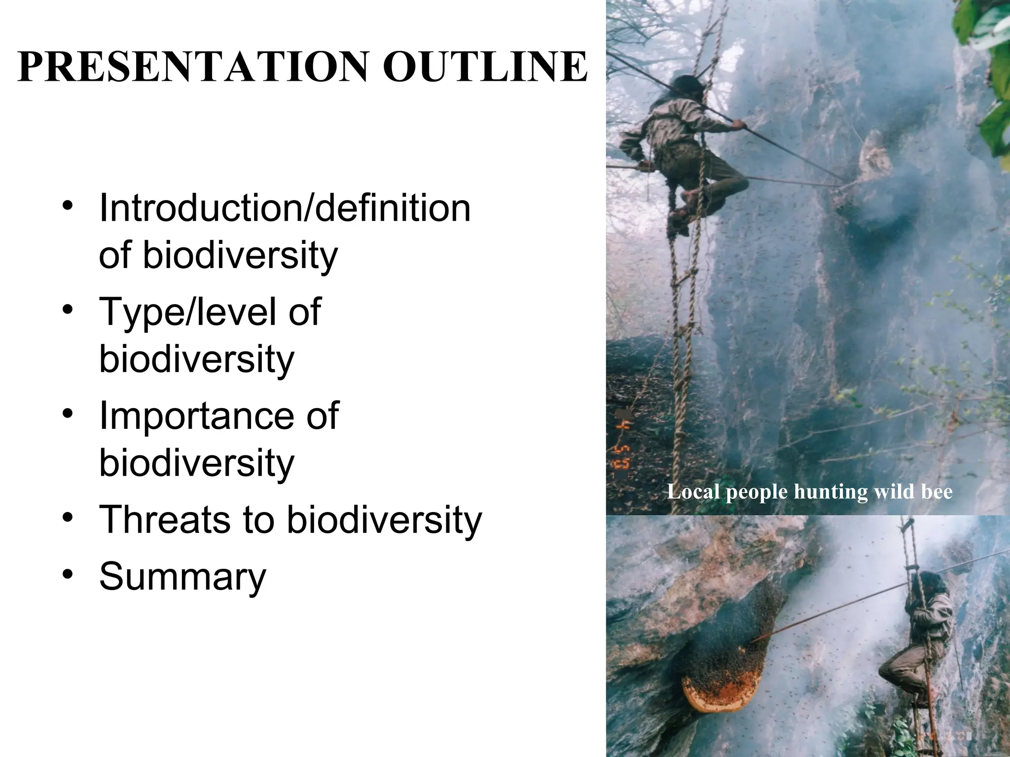 Threats to Biodiversity | PPT