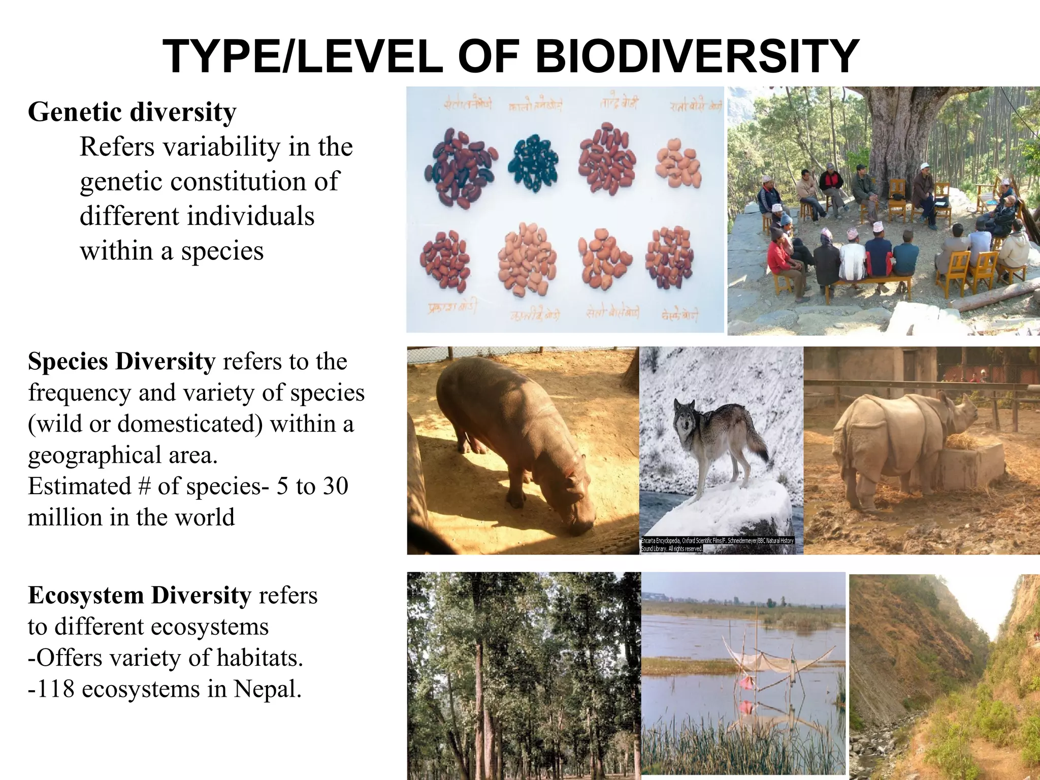 Threats to Biodiversity | PPT