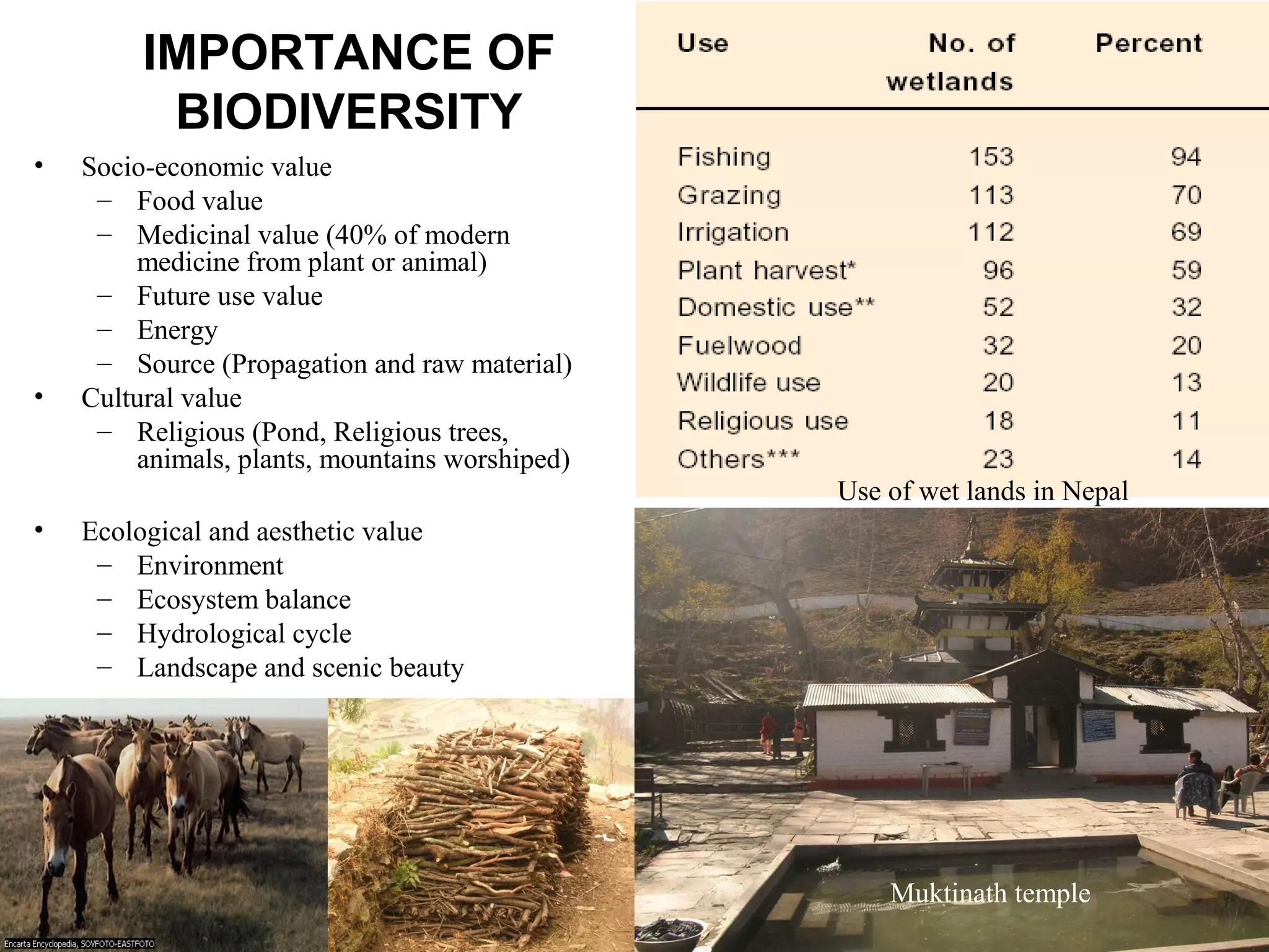 Threats to Biodiversity | PPT