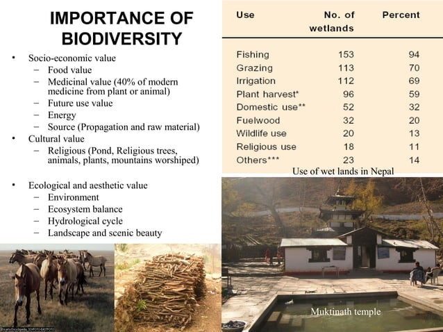 Threats to Biodiversity | PPT